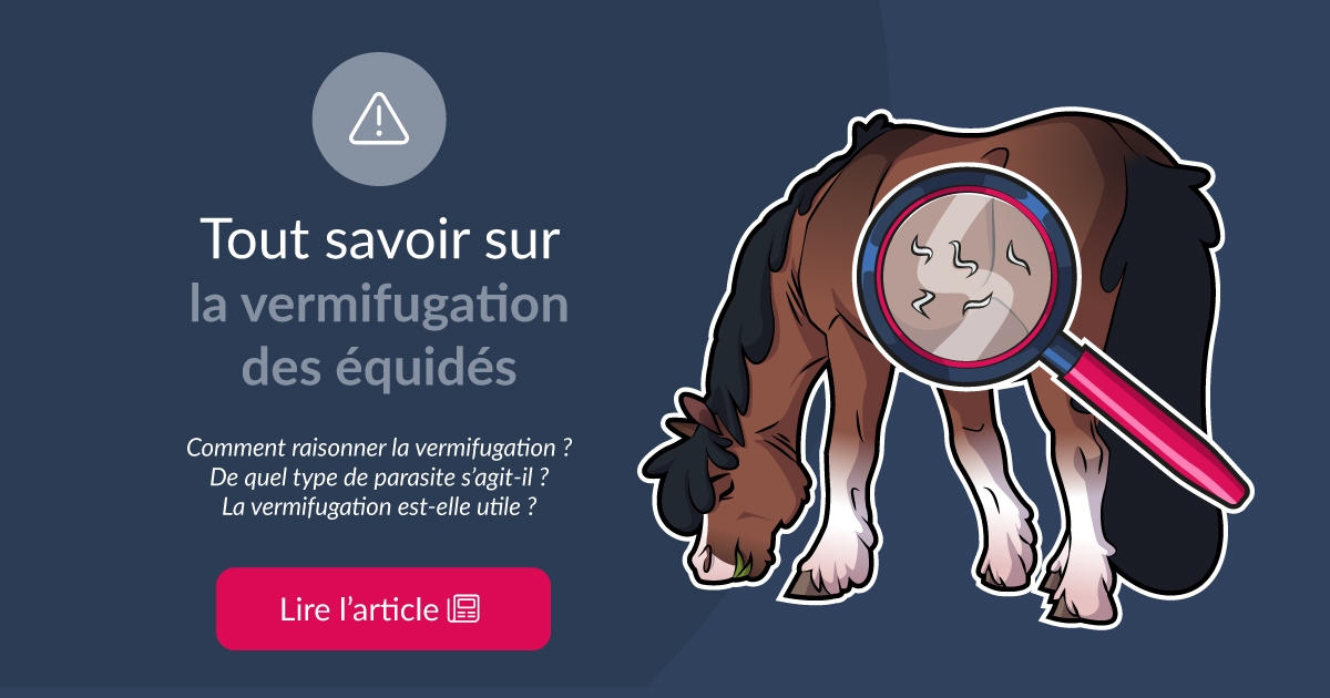Tout savoir sur la vermifugation des équidés