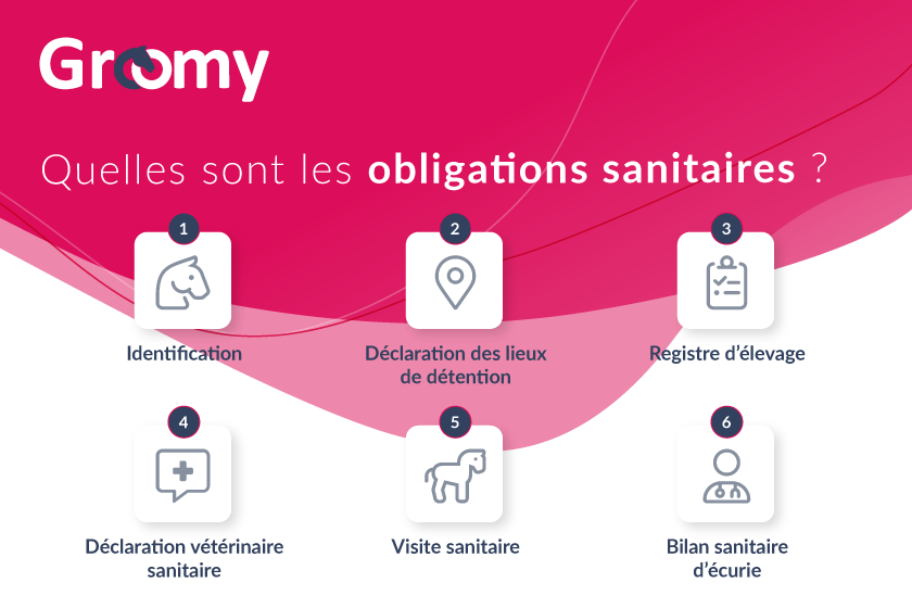 Les obligations sanitaires, quelles sont-elles Les obligations sanitaires, quelles sont-elles